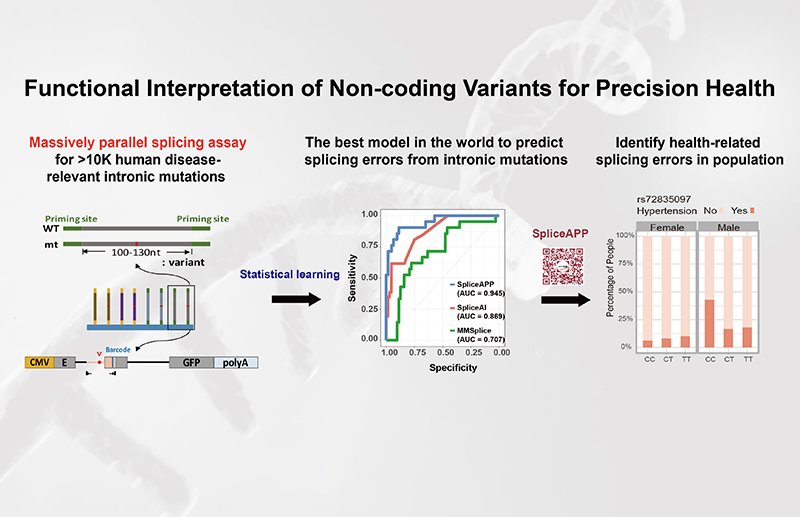 Institute of Molecular Biology, Academia Sinica
